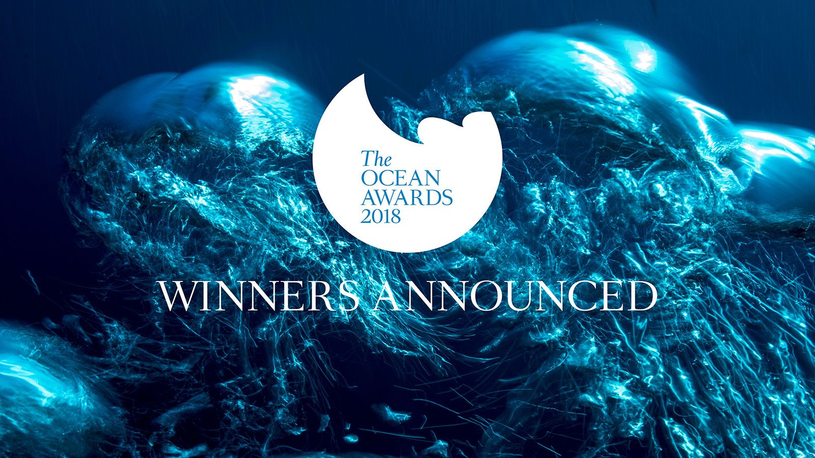 The winners of the Ocean Awards 2018